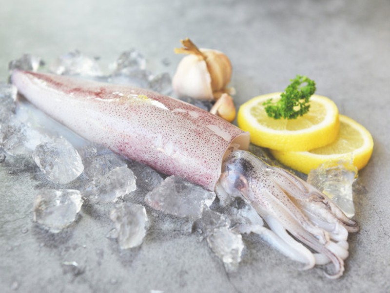 Fresh Today - Local Squid /Calamari Whole (লোকাল ইস্কুড হোল)