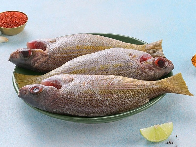 Fresh Today - Lal Poa Fish (Belly Clean & Dressed)