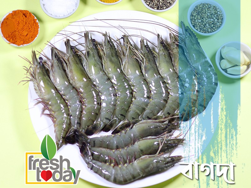 Fresh Today - Bagda Chingri/Prawn/Black Tiger Shrimp Whole.(বাগদা চিংড়ি)