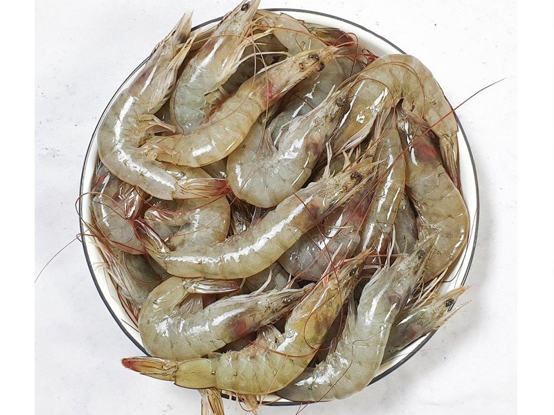 Fresh Today - Horina Shrimp Whole (হরিনা চিংড়ি আস্ত)