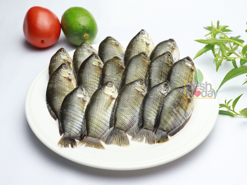 Fresh Today - Deshi Kholisha Fish (দেশী খৈলশা মাছ)