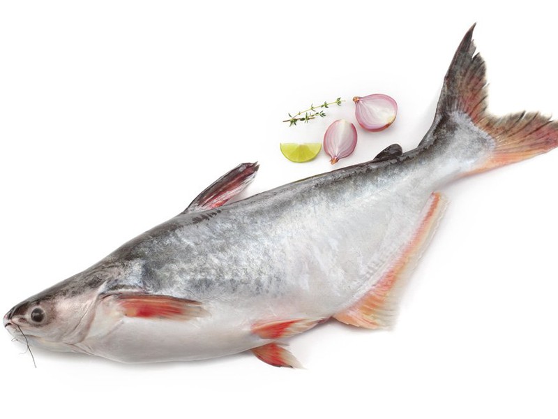 Fresh Today - Fresh Pangash Fish Whole (ফ্রেশ পাঙ্গাশ মাছ)