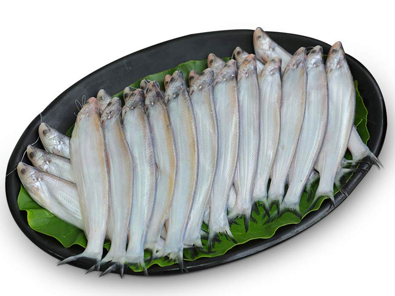 Fresh Today - River Kajoli Fish (নদীর কাজলি মাছ)