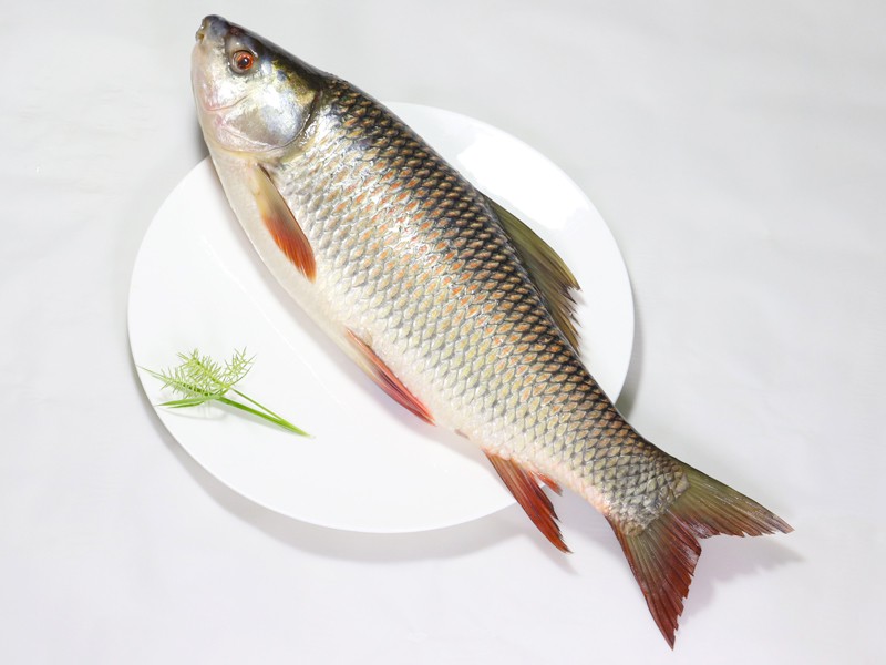 Fresh Today - Deshi Rui Fish Whole. ( রাজশাহীর দেশী রুই মাছ)
