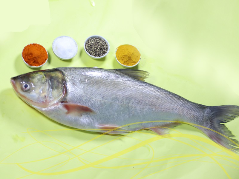 Fresh Today - Silver Carp (সিলভার কার্প) 2Kg To 5Kg Size