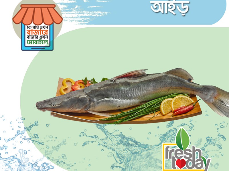 Fresh Today - River Ayer Fish whole (নদীর আইড় মাছ আস্ত)