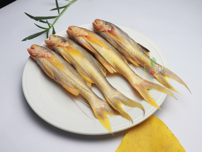 Fresh Today - River Topshe Fish/Ramchos (নদীর তপসে মাছ)