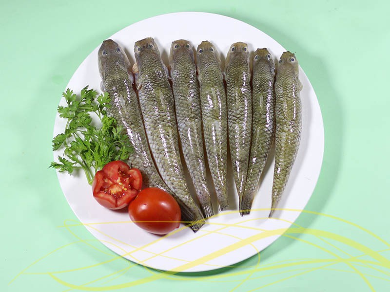 Fresh Today - River Baila Fish Clean & Dressed রেডি টু ‍কুক) (Size: 10 ...