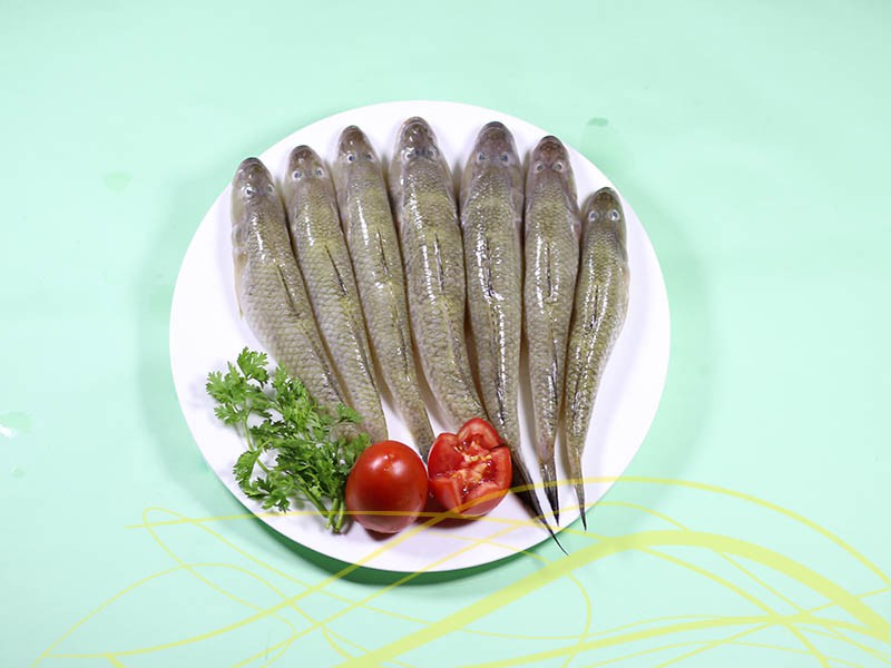 Fresh Today - River Baila Fish Whole (নদীর বাইলা মাছ)
