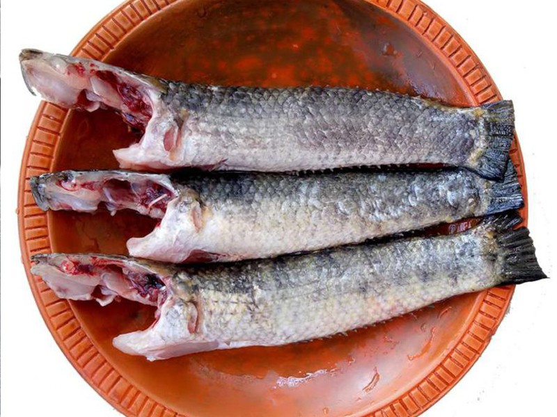 Fresh Today - Deshi Taki Fish Whole Cleane & Dressed (রেডি টু কুক)