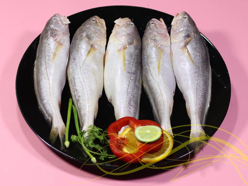Fresh Today - River Poa Fish (নদীর পোয়া মাছ)