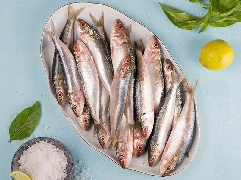 Fresh Today - Chapila Fish (চাপিলা মাছ)