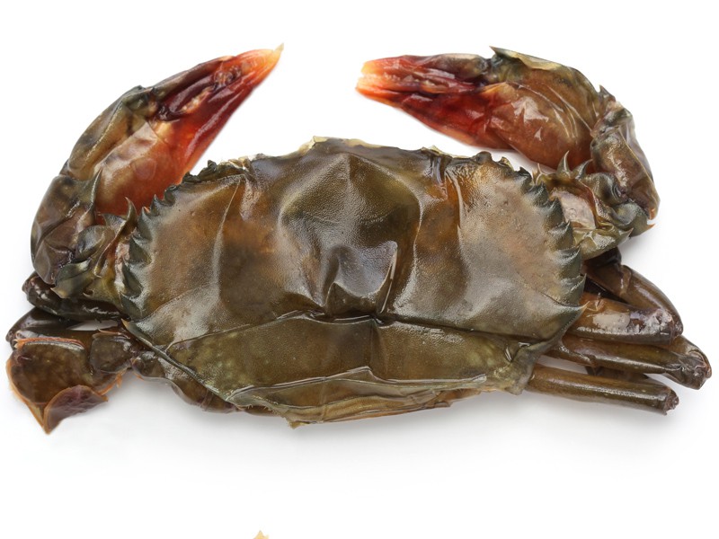 Fresh Today - Soft Shell Crab Whole 12-14 Pcs