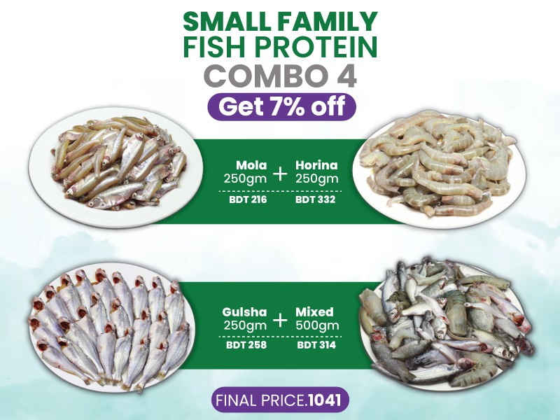 Fresh Today - Small Family Fish Protein Combo- 4 (Deshi Mola Fish R/C ...