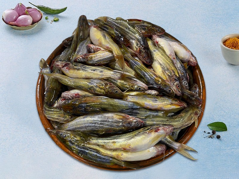 Fresh Today - Deshi Tengra Fish Whole (দেশী টেংরা মাছ আস্ত)