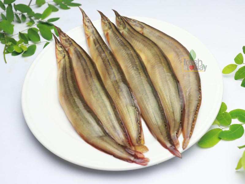 Fresh Today - Deshi Tara Baim Fish Whole (দেশী তারা বাইম)