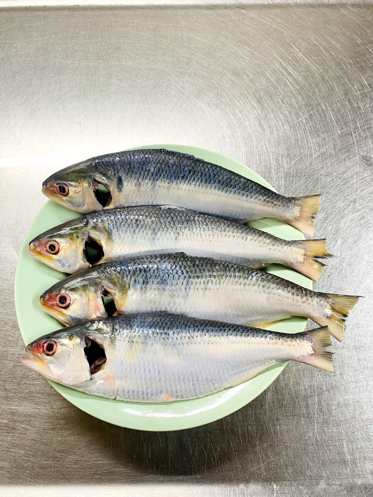 Fresh Today - Small Hilsha Fish Belly Clean & Dressed (5-7) Pcs Per Kg.